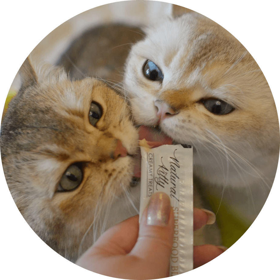 Chérie - Super Premium Natūralus Holistinis Maistas Katėms